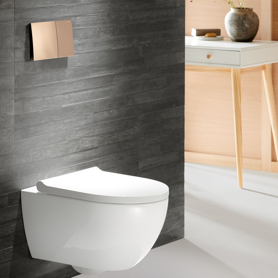WCs and urinals | Geberit