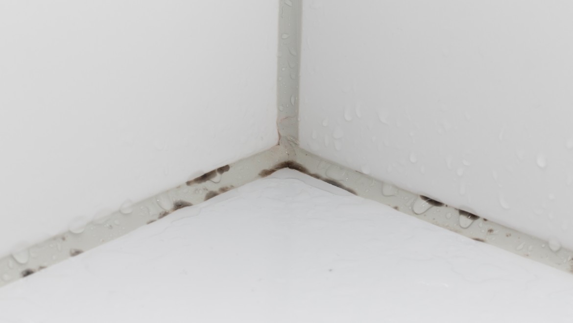Mould in the bathroom: cleaning and prevention | Geberit